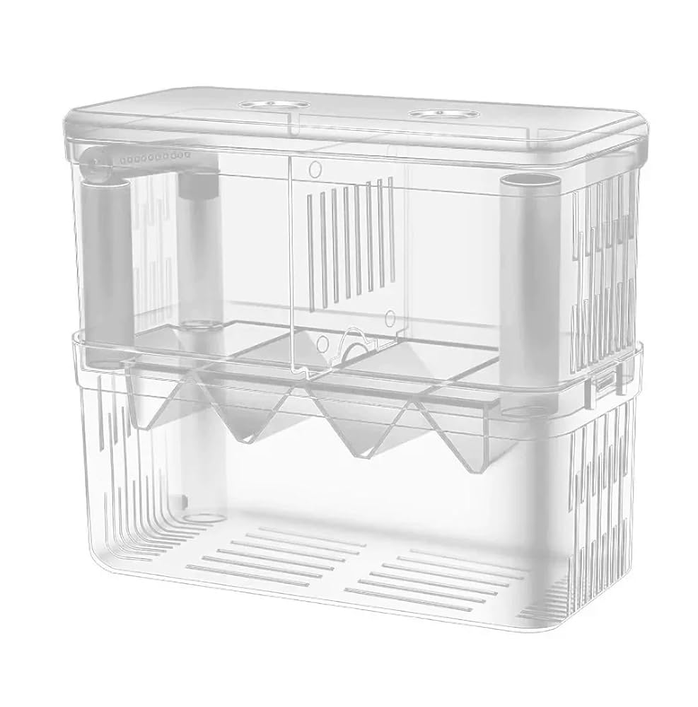 Guppy Breeder Box (Large) – BuyGuppy.com