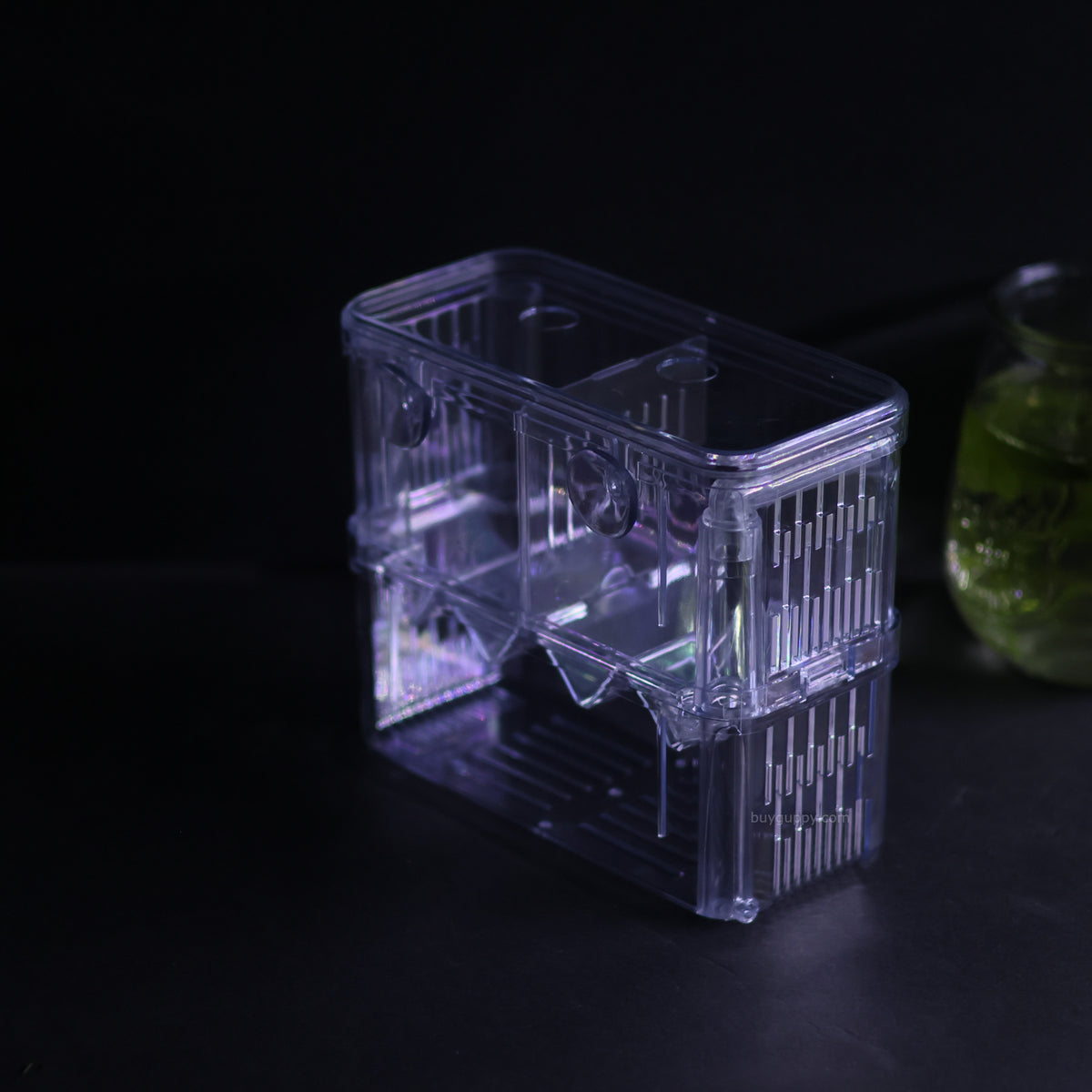 Guppy Breeder Box (Large) – BuyGuppy.com