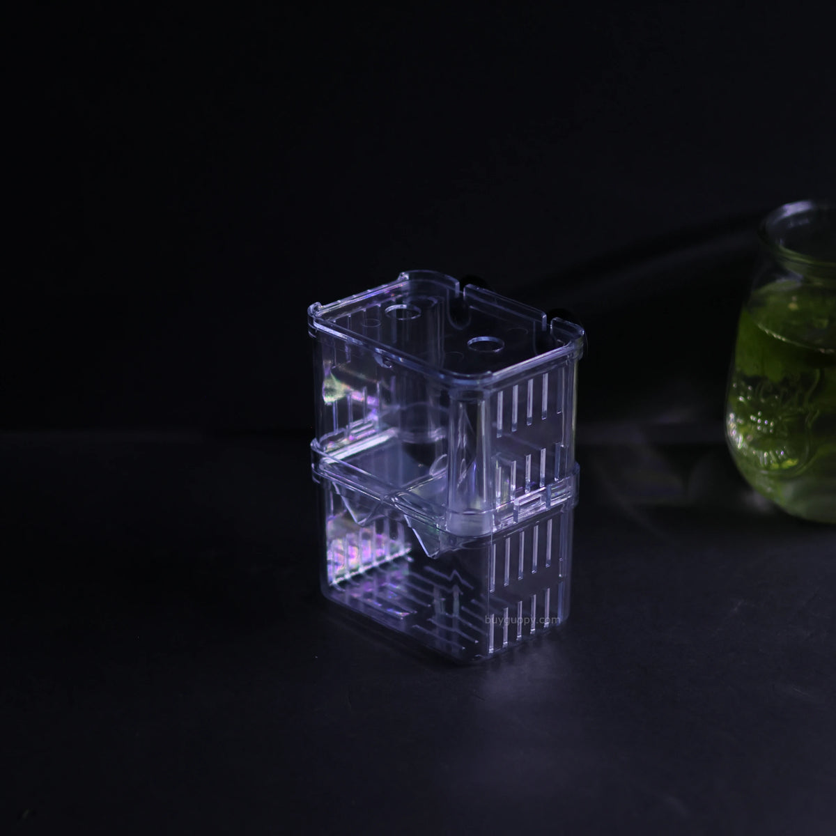 Guppy Breeder Box (Medium) – BuyGuppy.com